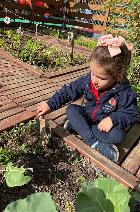 A importância da horta Colégio CECS Ensino Bilíngue