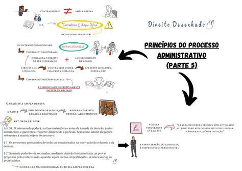 Princípios do Processo Administrativo Direito Administrativo