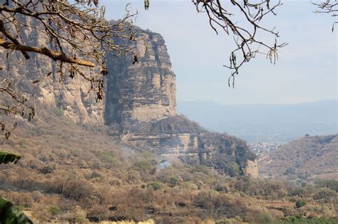Lleva Por Ciento De Control El Incendio Forestal En El Cerro Del