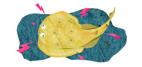 O Sermão de Santo António aos Peixes Livro Ilustrado Behance