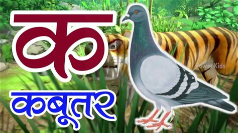 ka se kabutar a se anar k se kabutar kha se khargosh क स कबतर