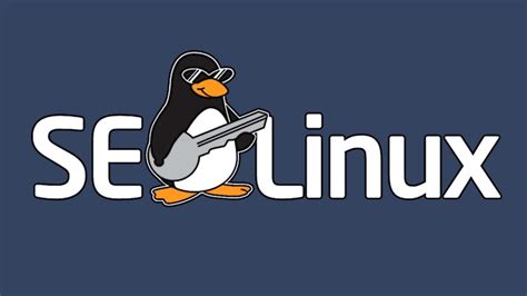 Cos Selinux Security Enhanced Linux Trgtkls