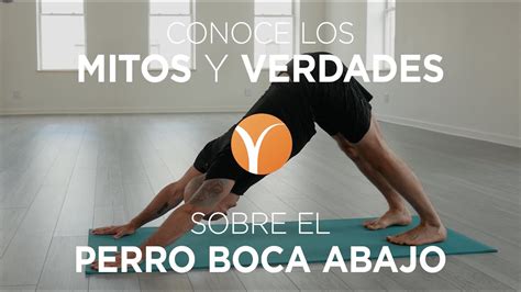 Postura Perro Boca Abajo En Yoga Youtube