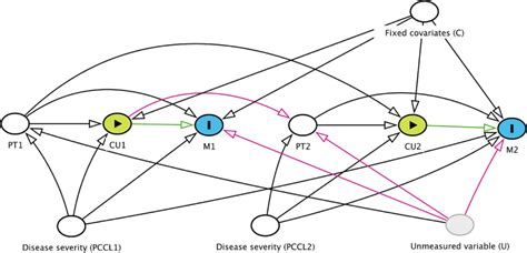 causal dag for time varying exposure time varying confounders and download scientific diagram