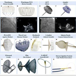 Percutaneous Left Atrial Appendage Occlusion Devices A Watchman B