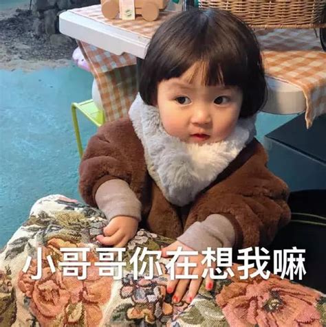 罗熙表情包你的小可爱突然出现 可爱 暗话 罗熙 新浪新闻