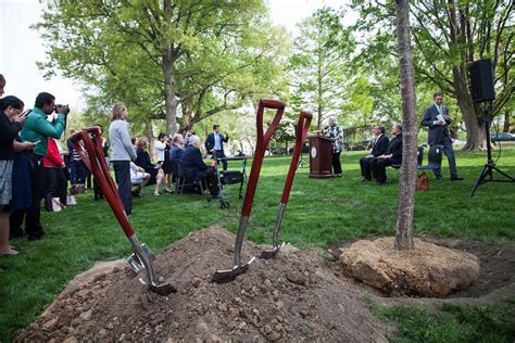 Easy Ways You Can Help Reduce Pollution Dengarden