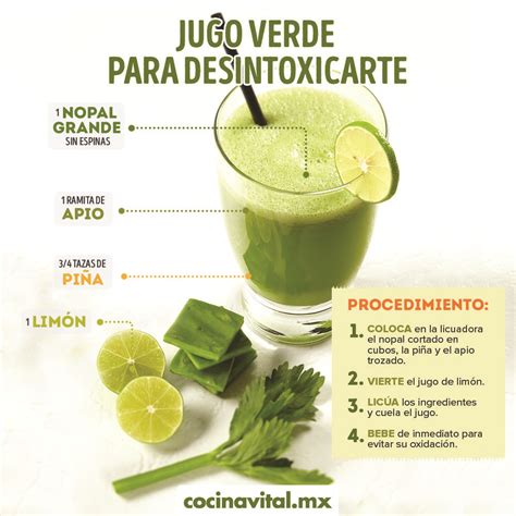 Arriba 39 Imagen Jugos Verdes Desintoxicantes Viaterra Mx