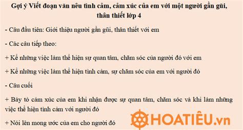 Siêu hay Viết đoạn văn nêu tình cảm cảm xúc của em với một người gần