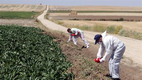 El Glifosato El Herbicida M S Utilizado Del Mundo Noticias De
