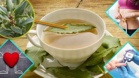 Infusion Feuille De Laurier Les Bienfaits Infinis Dans Une Tasse