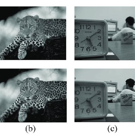 four source image pairs of different scenes for multi focus fusion download scientific diagram