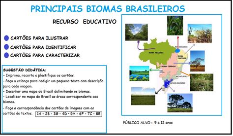 Biomas Brasileiros Online Activity Artofit