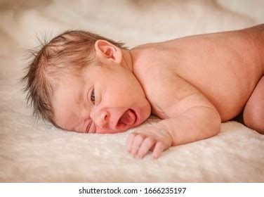 Newborn Infant Naked Baby Boy Laying Stock Photo 1665164035 Shutterstock