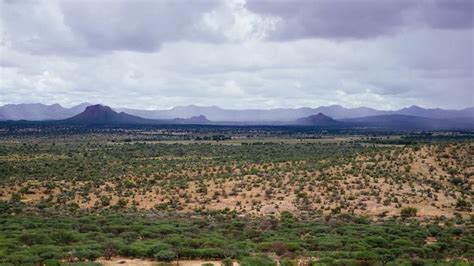 Clima Semiárido Frío Características Flora Fauna y Adaptabilidad