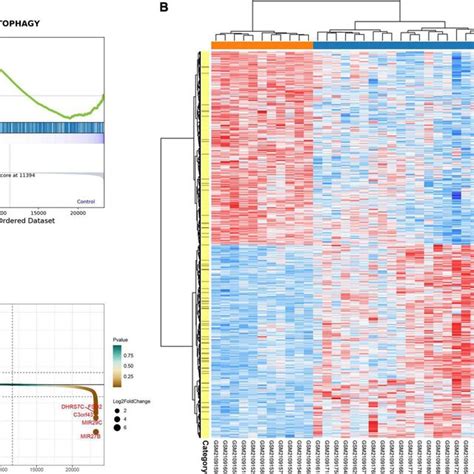 A Gene Set Enrichment Analysis Gsea And Identification Of