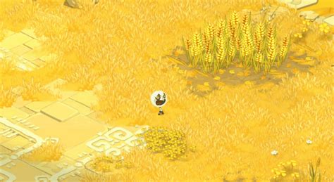 Pack de clase Yopuka Shop Noticias DOFUS el MMORPG estratégico