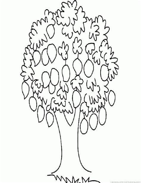 Mango Tree Coloring Pages Tree Coloring Page Coloring Pages Mango Plant