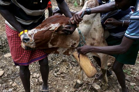 Women Kept As Livestock Cumception