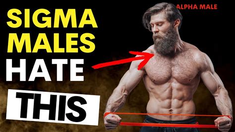 8 Alpha Male Behaviours The Sigma Male Absolutely Hates Youtube