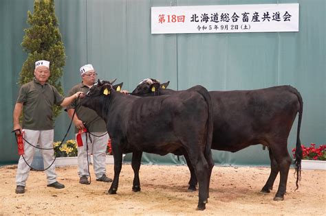 第18回北海道総合畜産共進会 肉用牛部門英貞 GH CONTENT