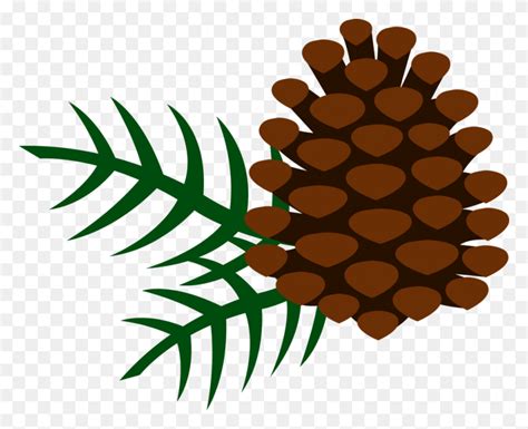 Bayou Timbers Pine Cone PNG FlyClipart