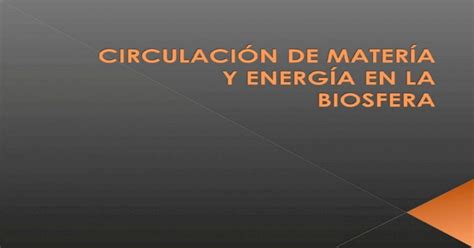 Circulación de Matería y Energía en la Biosfera PDF Document