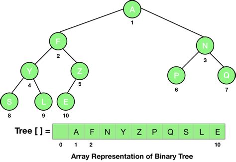 binary trees