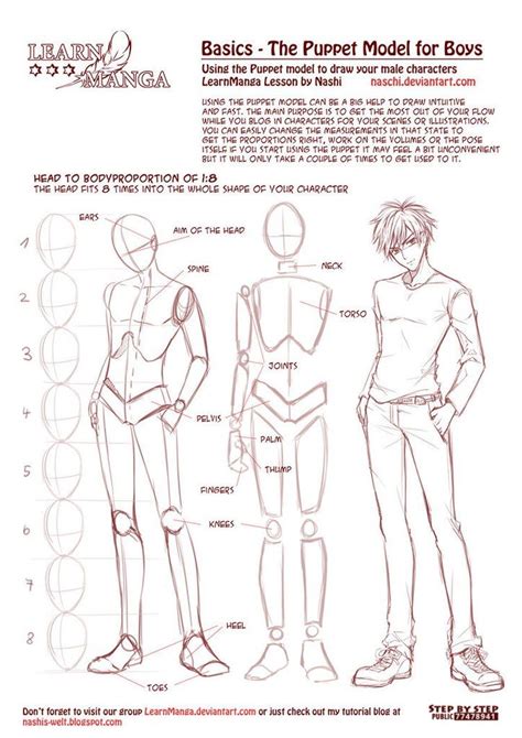 How To Draw Anime Body Male Step By Step