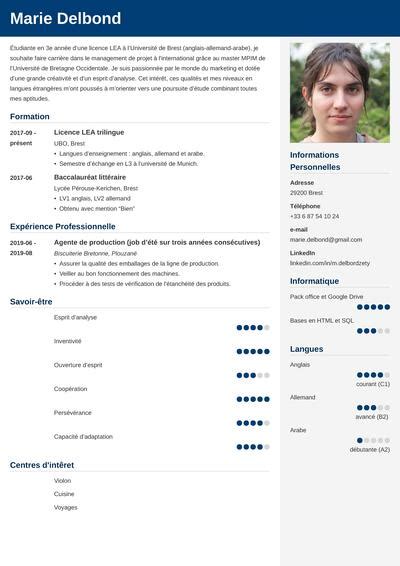 Comment décrire son niveau de langue sur le CV