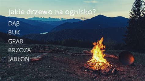 Jakie Drewno Na Ognisko Jest Najlepsze TOP 5 Uwaga Budowa