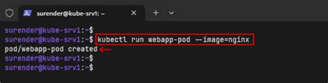 Create A Kubernetes Pod Sysops