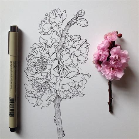 1001 Idee Per Disegni A Matita Facili E Molto Belli