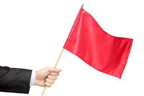 QUE FUNCIÓN DESENPEÑAN LAS BANDERAS ROJAS EN LA LUCHA ANTIFRAUDE