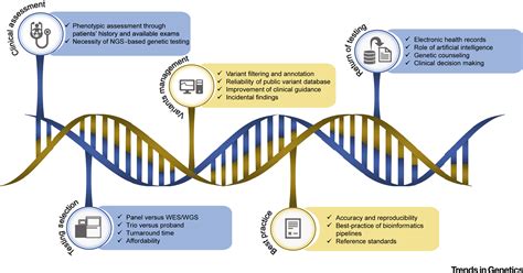 toward clinical implementation of next generation sequencing based genetic testing in rare