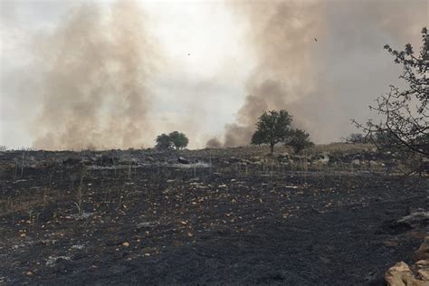Incendi Boschivi Oltre Ettari In Fumo Sulla Murgia Tra Minervino