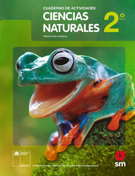 Cuaderno De Actividades Ciencias Naturales 5 Basico Resuelto 2022 Pdf
