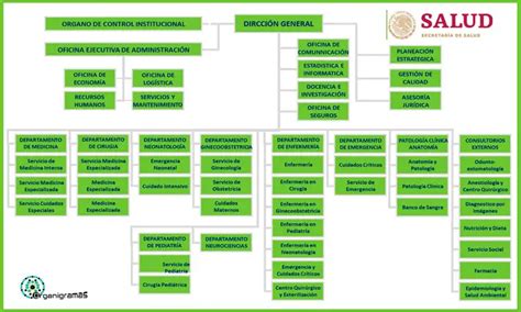 Organigrama Funciones De Los Departamentos De Un Hospital 2024