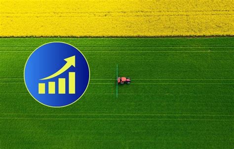 Ceny ziemi rolnej 2024 Jakie stawki za hektar obowiązują we wszystkich