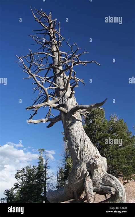 Stairway To Heaven Stock Photo Alamy