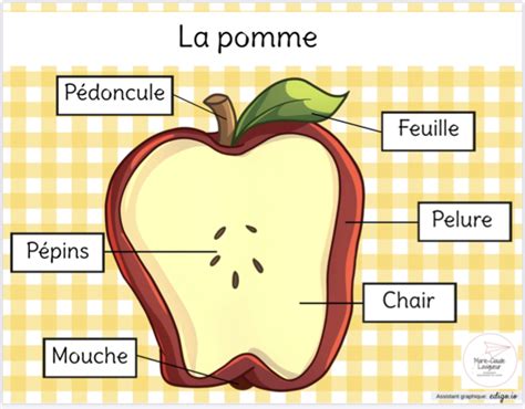 Th Matique Compl Te L Automne Et Les Pommes
