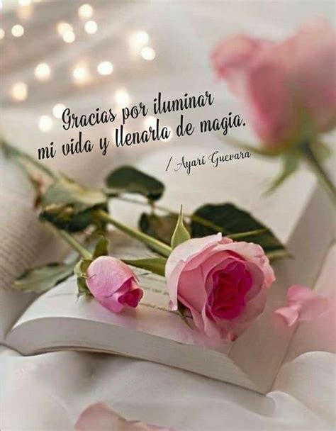 Two Pink Roses Sitting On Top Of An Open Book With A Quote About Love