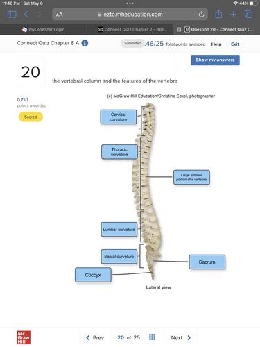 Week 1 Homework Flashcards Quizlet