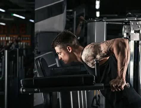6 Best Tricep Medial Head Exercises For Bigger Arms