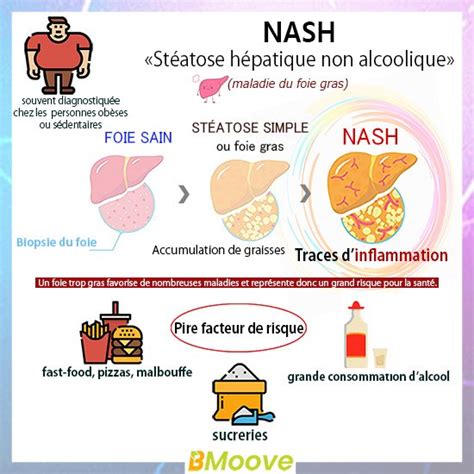 Comment Liminer La Graisse Sur Le Foie