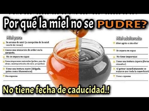 Por qué la miel NO SE PUDRE O DESCOMPONE Qué componentes la mantienen