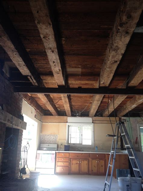 Open Rafter Ceiling Lighting Shelly Lighting