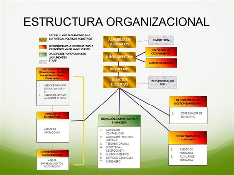 Estructura Organizacional