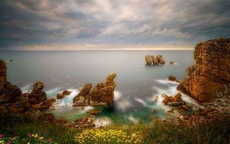 Tierra Costa Costa Flor Horizonte Océano Roca Mar Fondo de