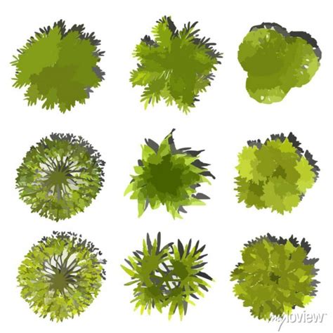 Set Of Tree Top View For Landscape Plan And Architecture Layout Posters